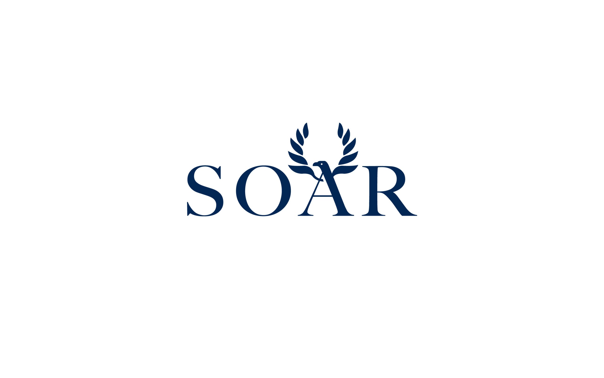Soar - Flax Japan
